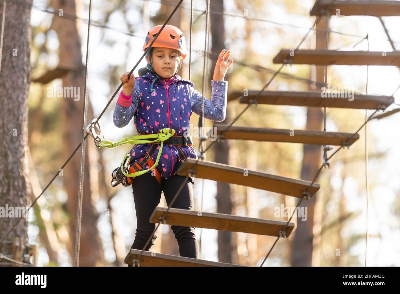 Child in forest adventure park. Kids climb on high rope trail. Agility ...