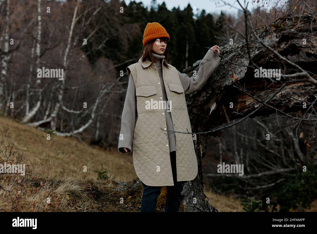 tourist trees without leaves travel fresh air life style Stock Photo ...