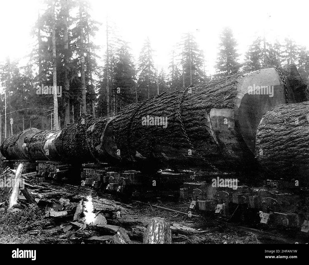 Logging railroad Black and White Stock Photos & Images - Alamy
