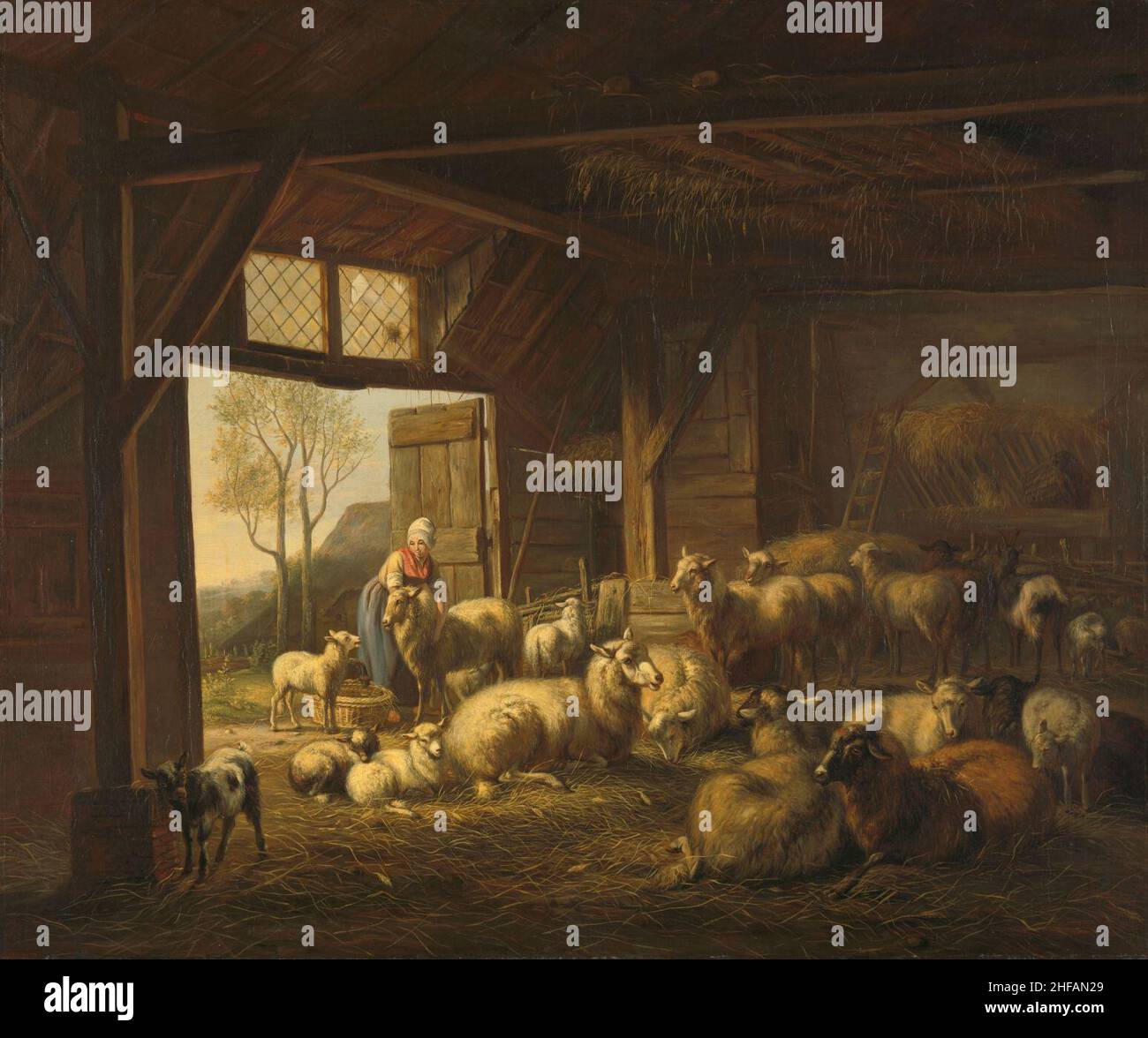 Schapen en geiten in de stal Stock Photo - Alamy