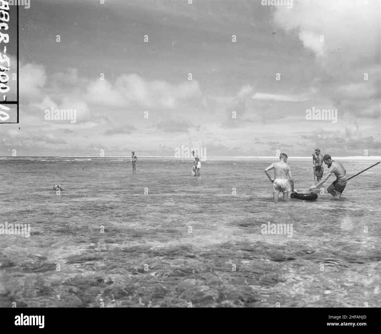 Scientists wading in reef around Namu Island to net poisoned fish, 1947 ...