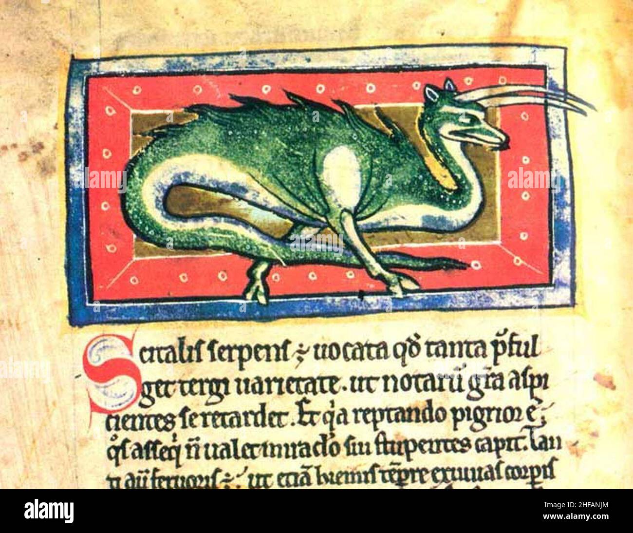 Scitalis hi-res stock photography and images - Alamy