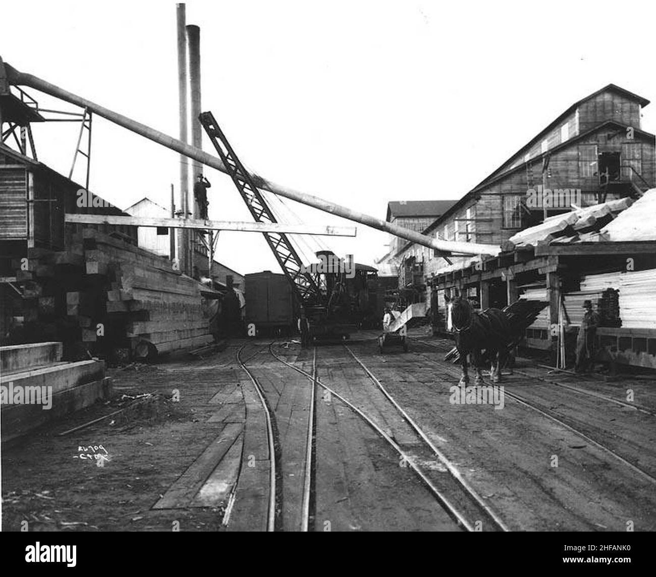 Nettleton Black and White Stock Photos & Images - Alamy