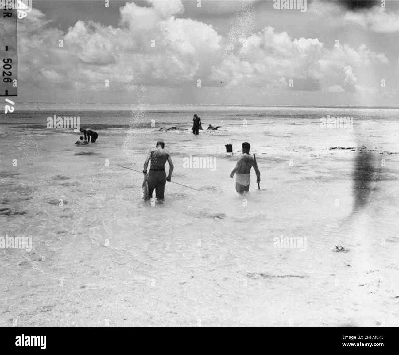 Scientists collecting fish after poison was spread in the water ...