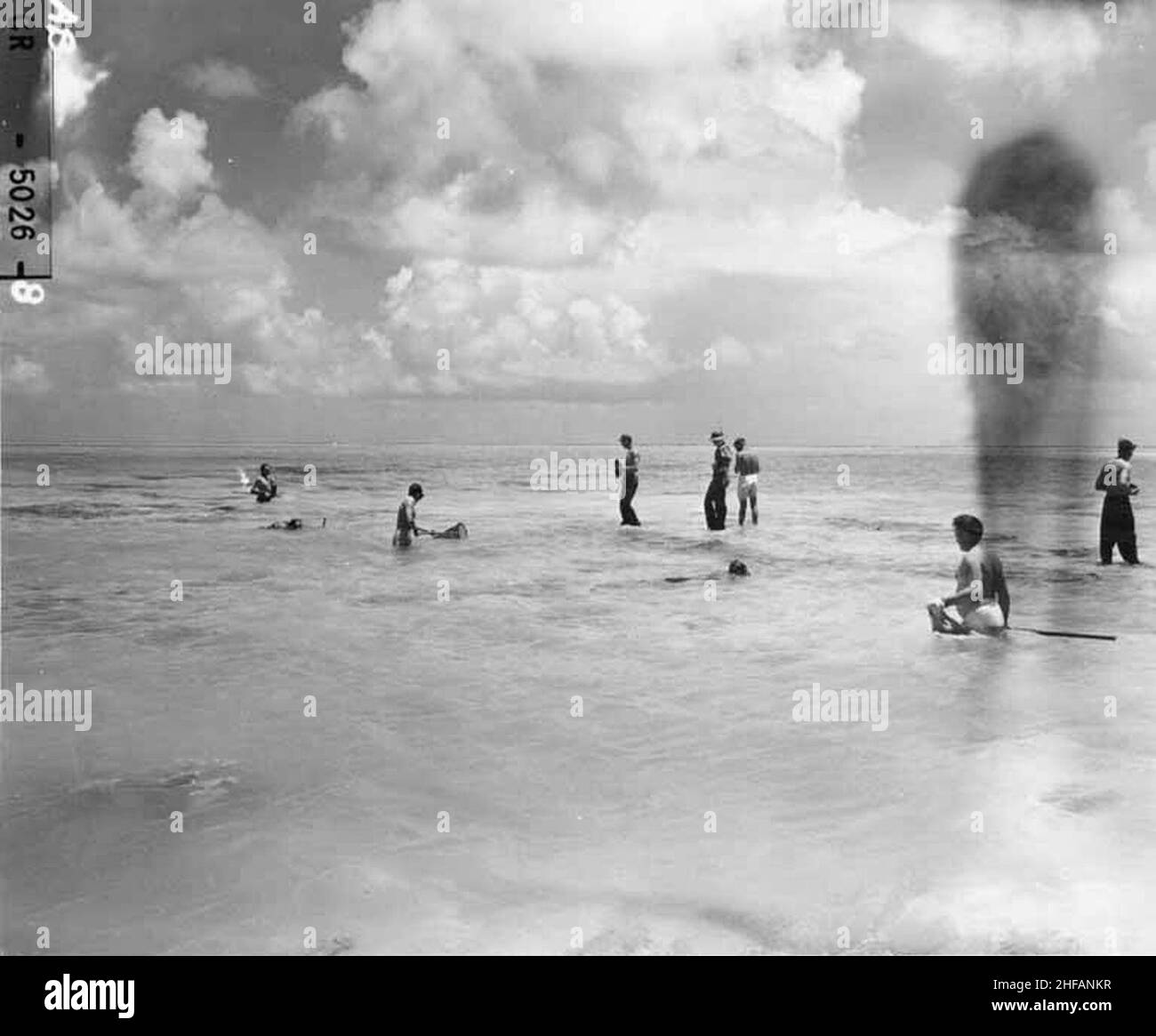 Scientists collecting fish after poison was spread in the reef area ...