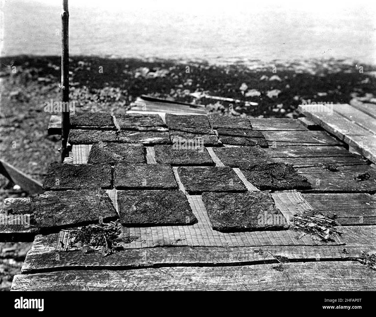 Seaweed drying in cakes, Shakan, Alaska, July 16, 1911 (COBB 132 Stock ...