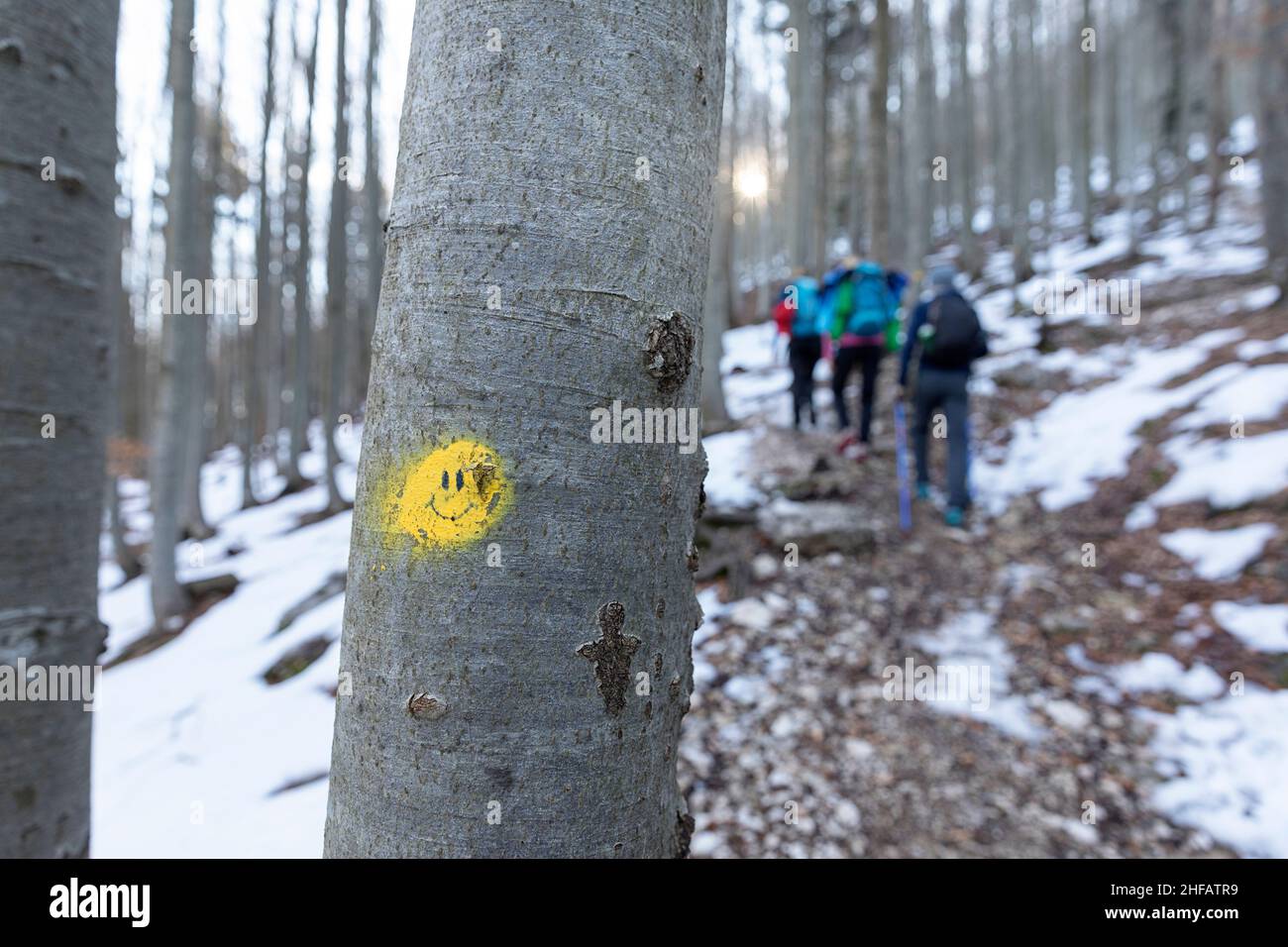 Smiley tree hi-res stock photography and images - Alamy