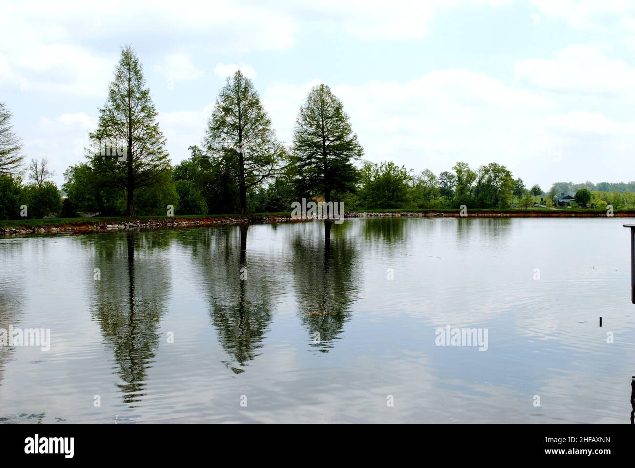 Trees at the Reflection of Lake Stock Photo - Alamy