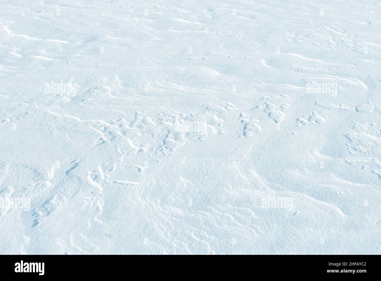 Dense texture hi-res stock photography and images - Alamy