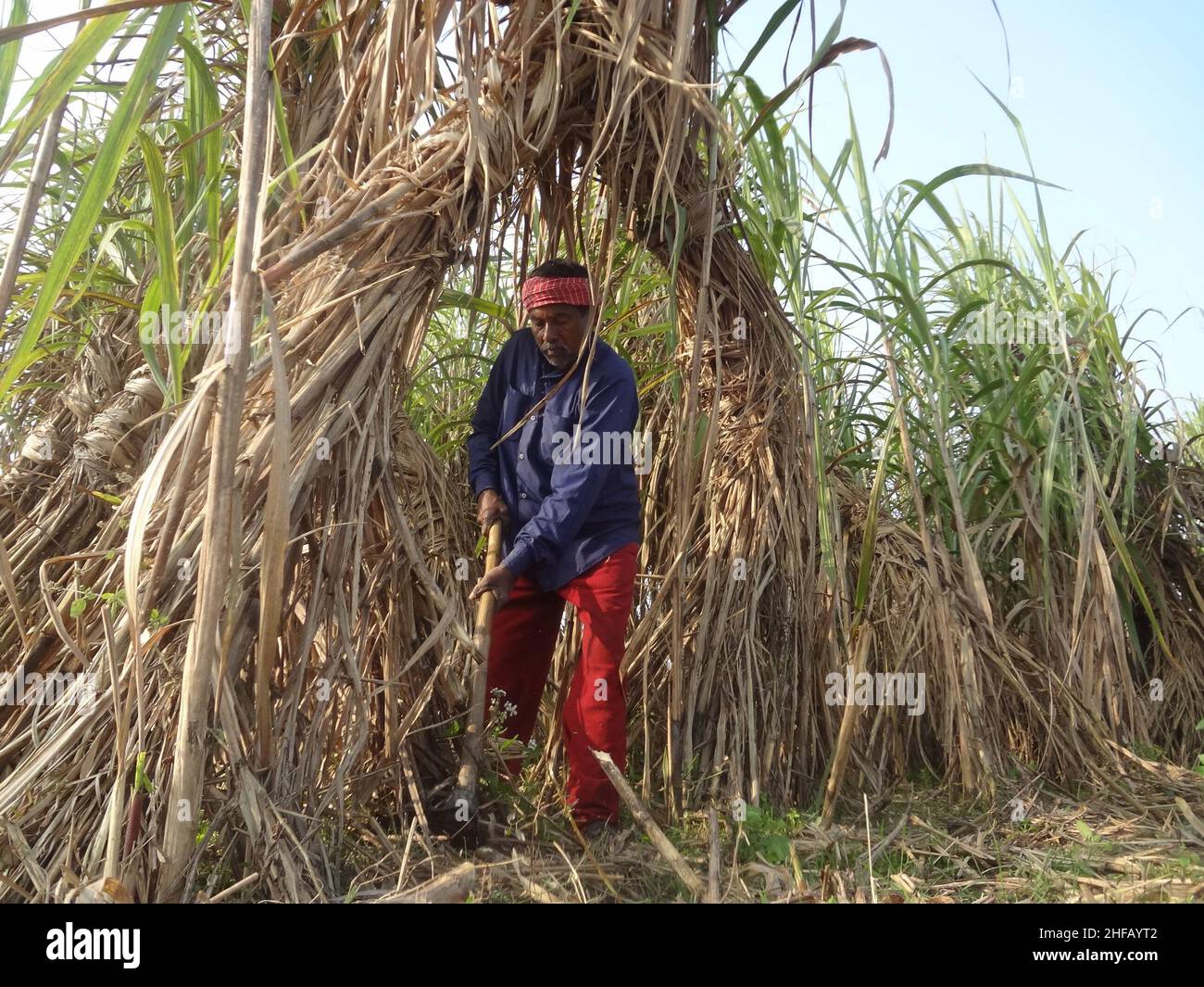 Joypurhat hi-res stock photography and images - Alamy