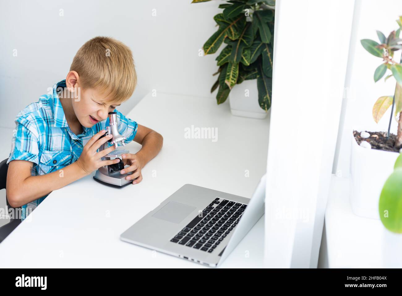 Smart Young Boy Works on a Laptop For His New Project in His Computer ...