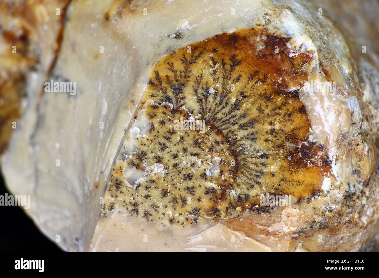 Manganese oxide dendrites growing in a crack of limestone rock close up ...