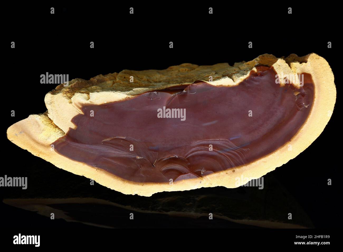 Sample of untreated flint with a concave fracture on a black background ...