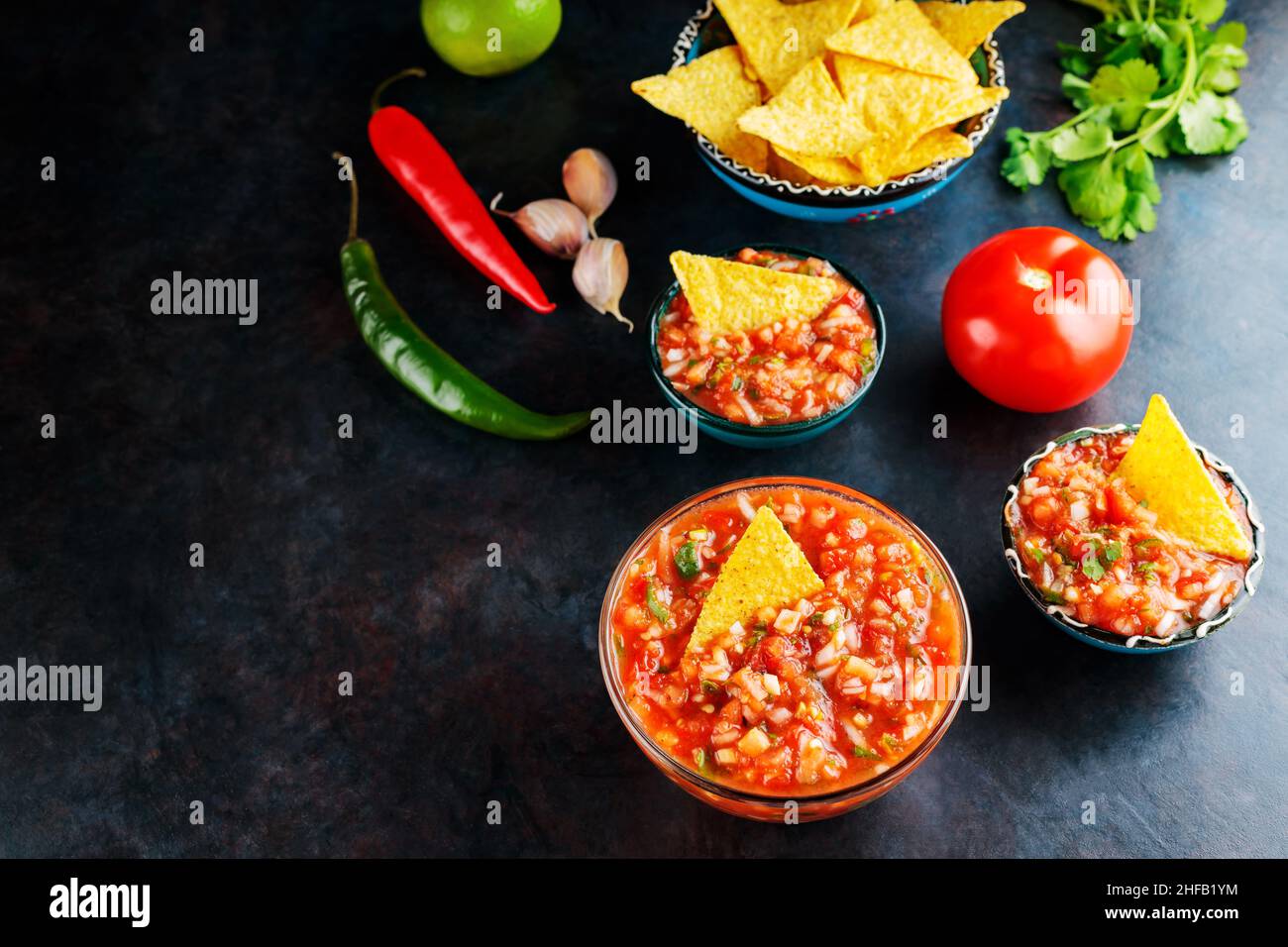 Salsa sauce and ingredients: tomato, onion, garlic, cilantro, lime ...