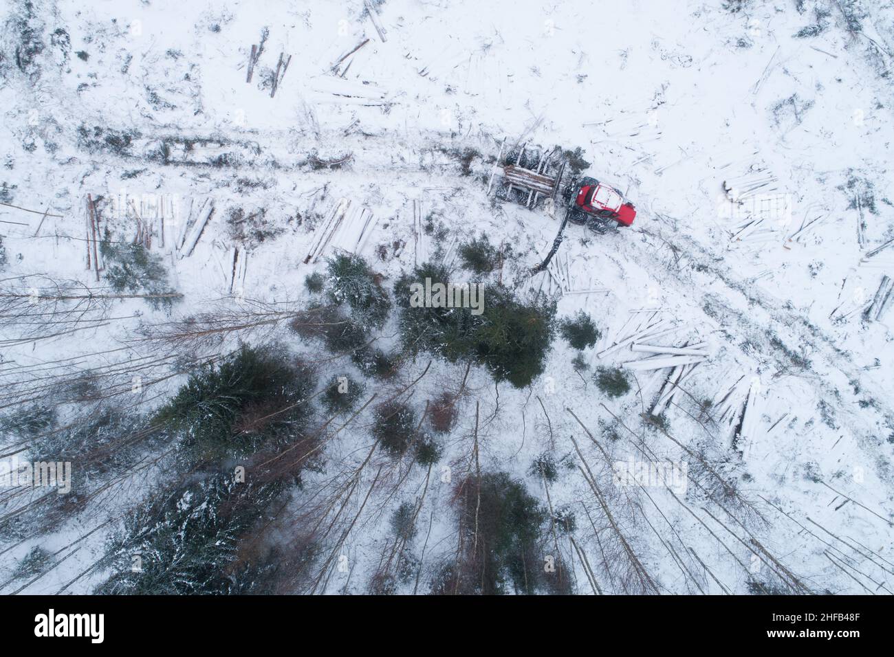 An aerial view of a small clear-cut area after deforestation with a red ...