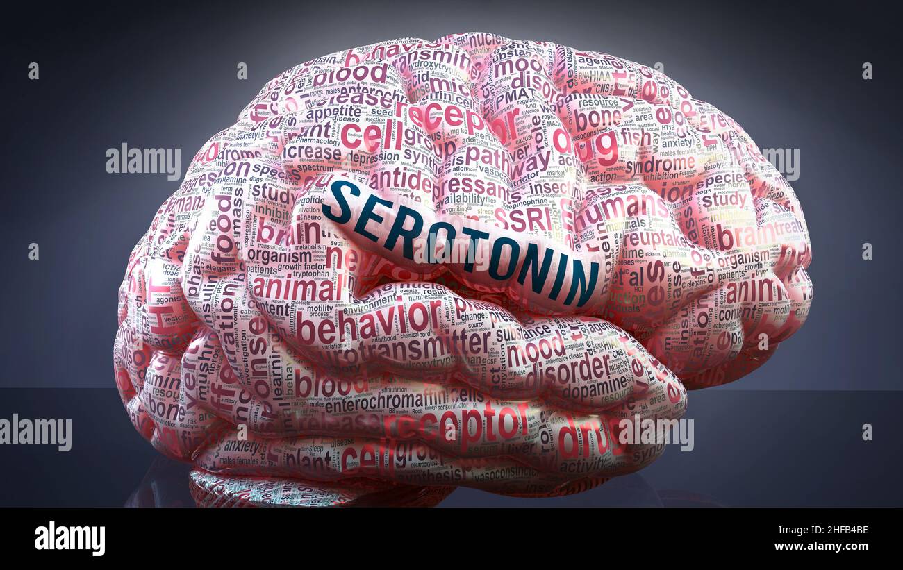 Serotonin in human brain, hundreds of crucial terms related to ...