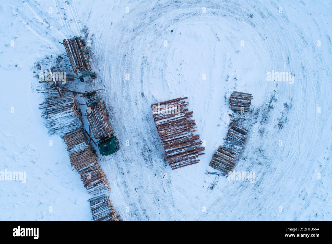 Loading wood truck next to pile of timber in Estonia, Northern Europe ...