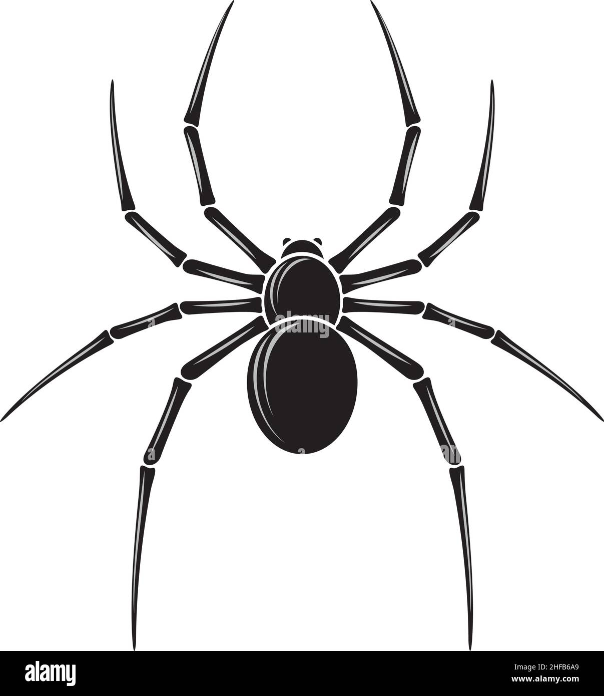 Spider vector illustration Stock Vector Image & Art - Alamy