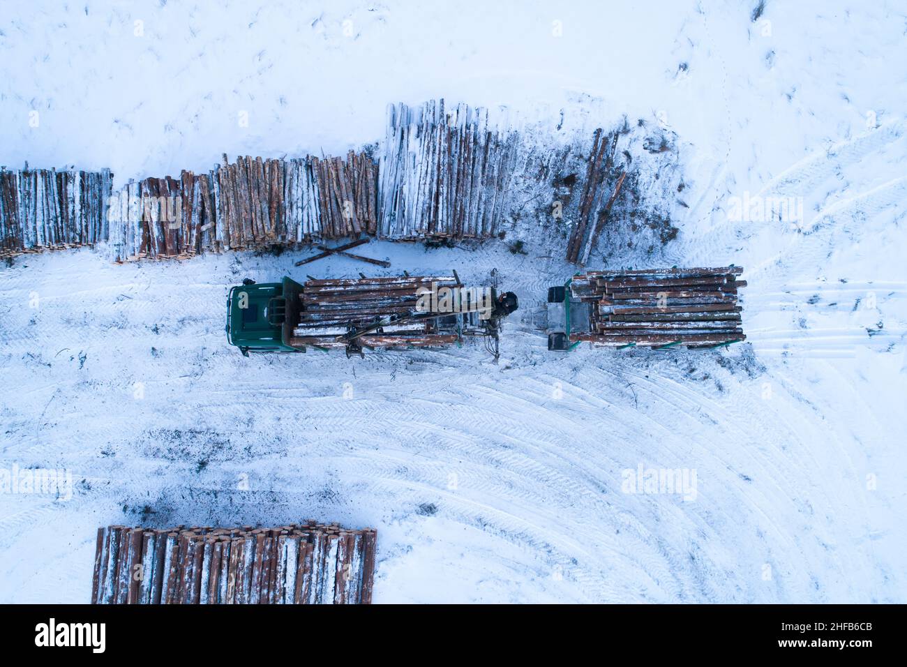 Loading wood truck next to pile of timber in Estonia, Northern Europe ...