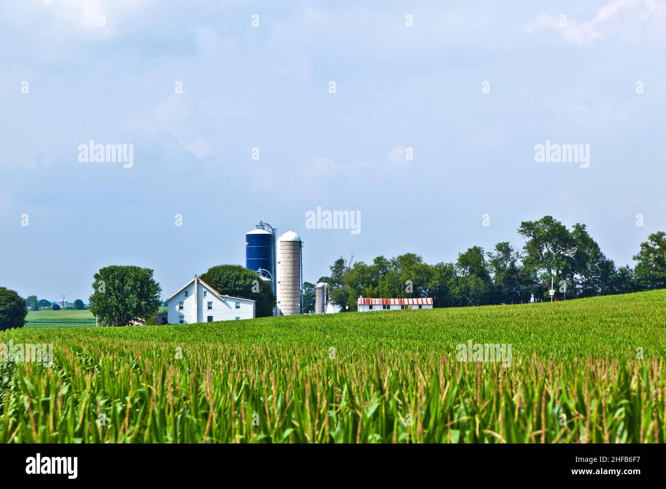 farm house with field and silo in beautiful landscape in Farmstead, USA ...