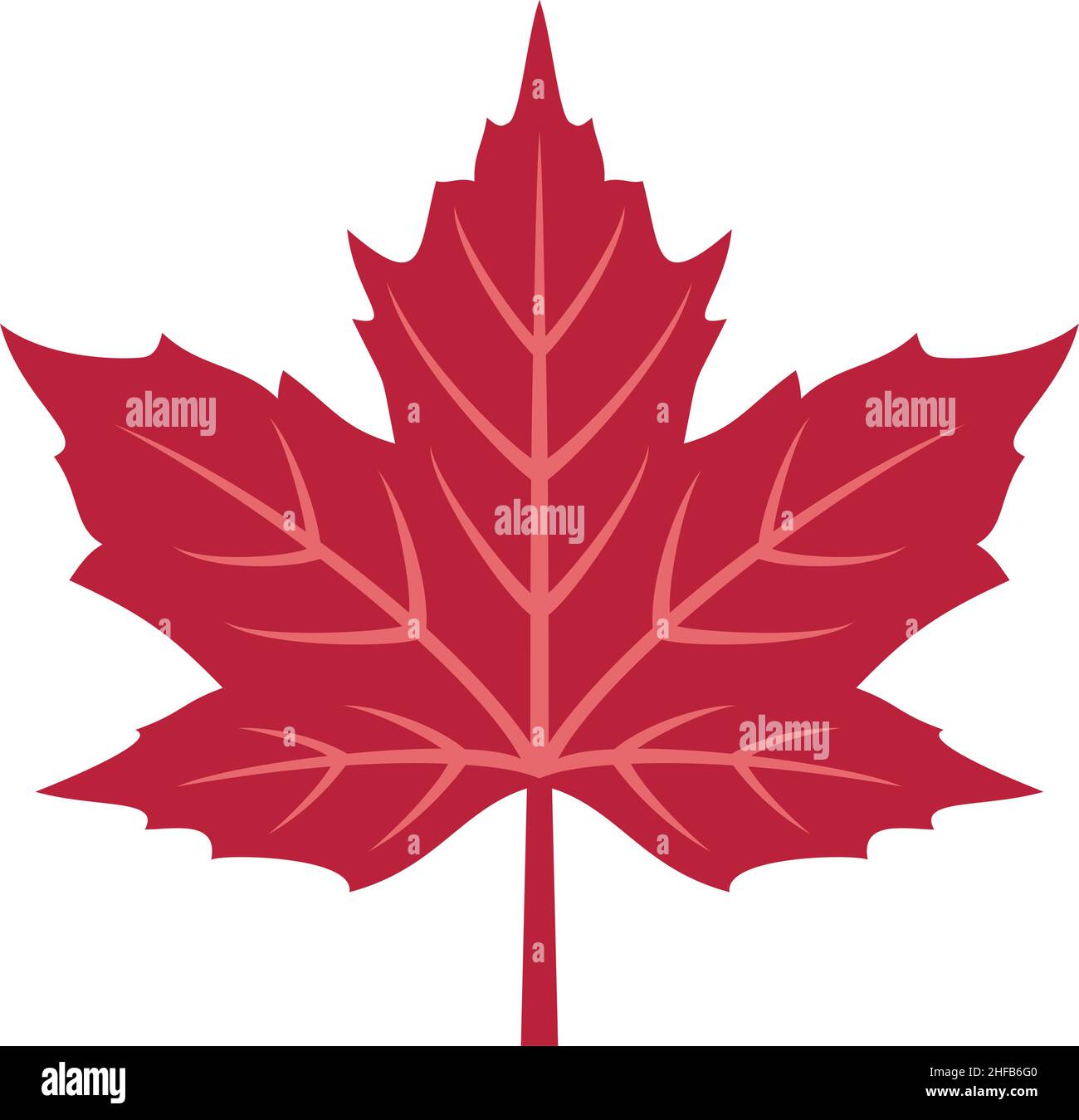 Red maple leaf vector illustration Stock Vector Image & Art - Alamy