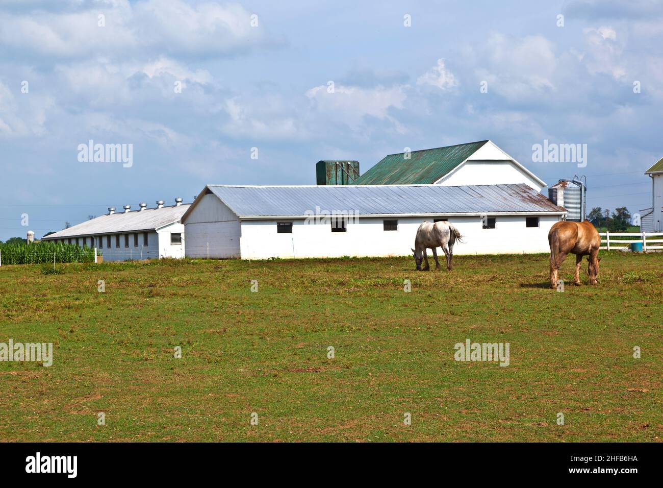 farm house with field and silo in beautiful landscape in Farmstead, USA ...