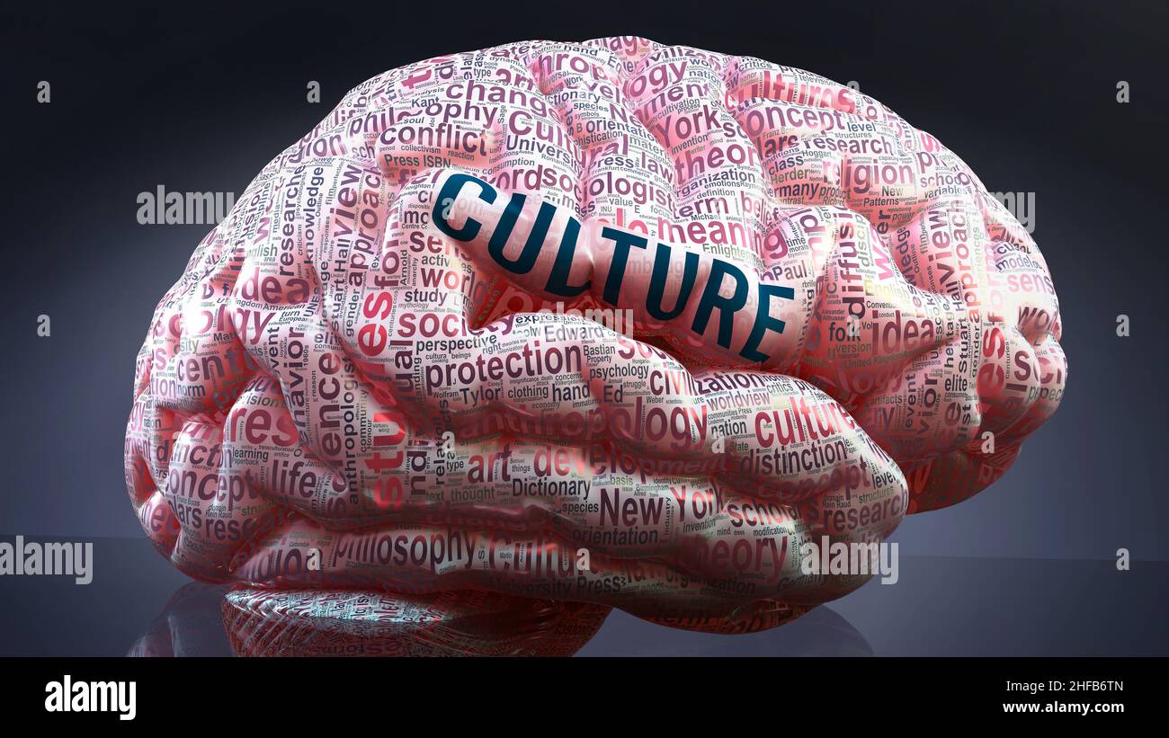 Culture in human brain, hundreds of crucial terms related to Culture ...