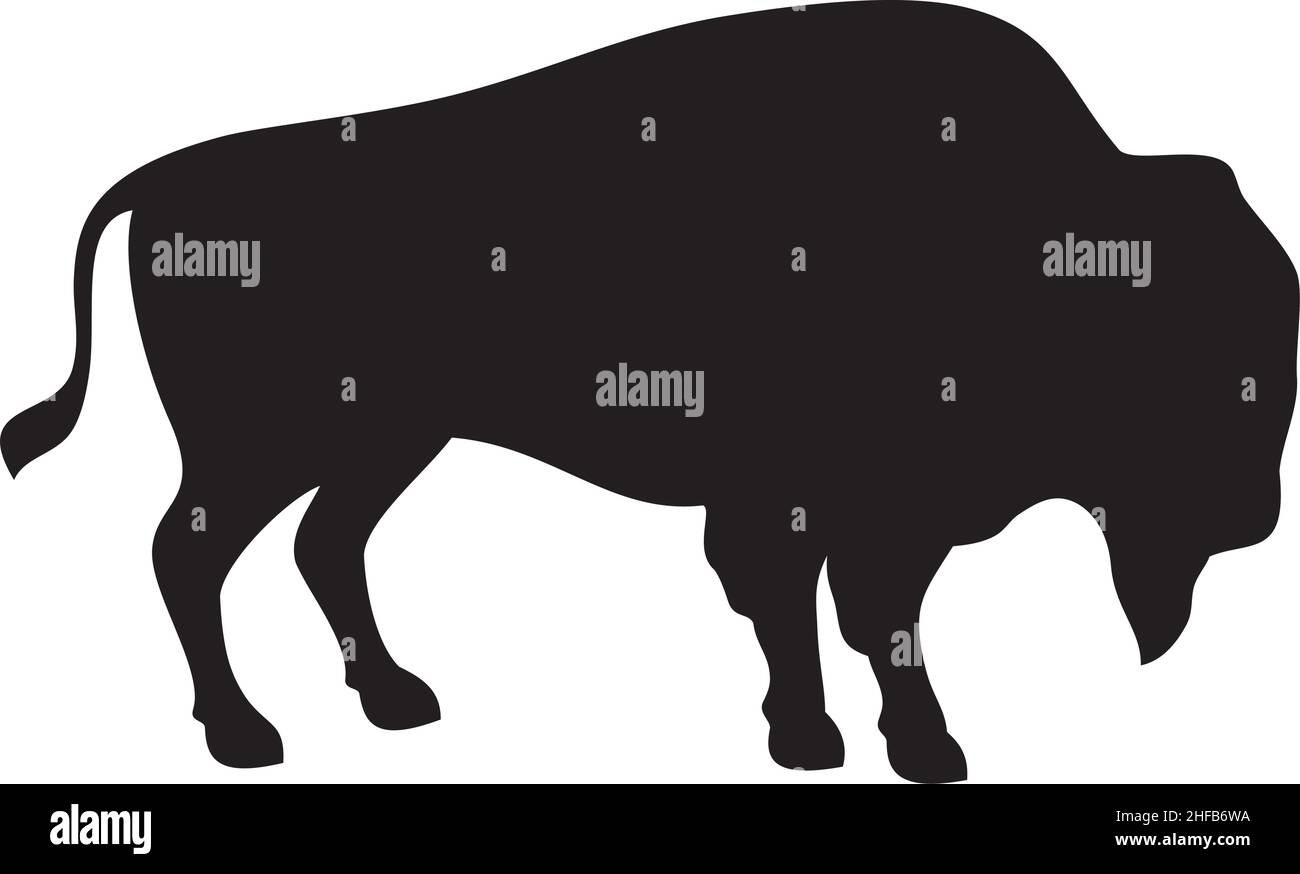 American bison (buffalo) vector illustration Stock Vector Image & Art ...