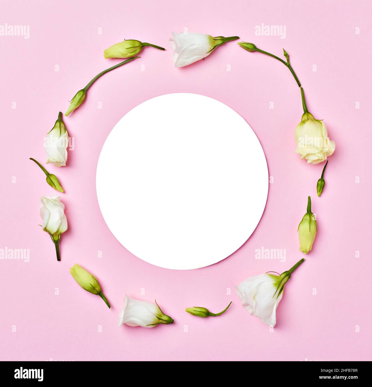 leaf flower greeting card note paper frame background flat lay floral ...