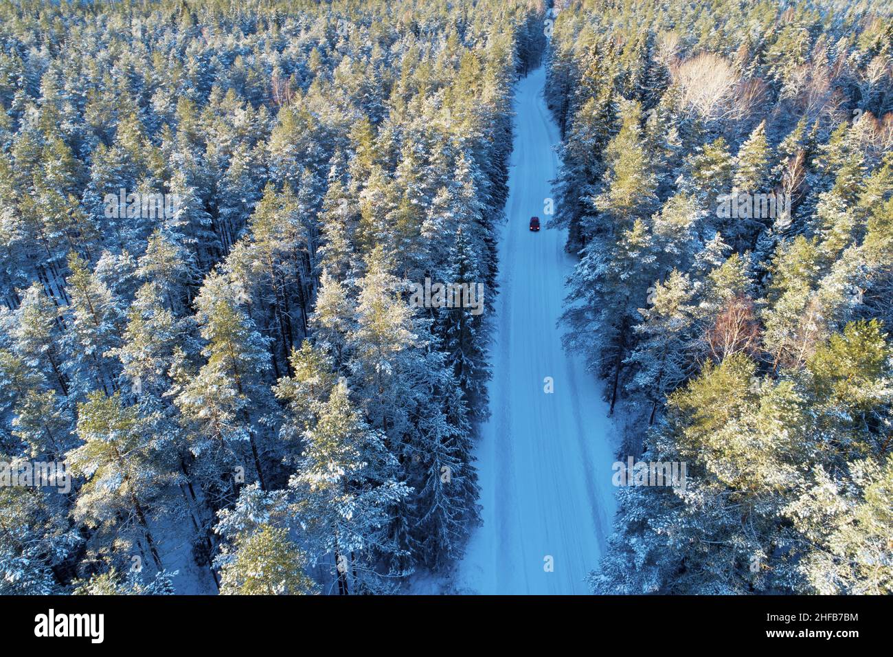 Aerial of a car driving on a snowy tree in the middle of boreal forest ...