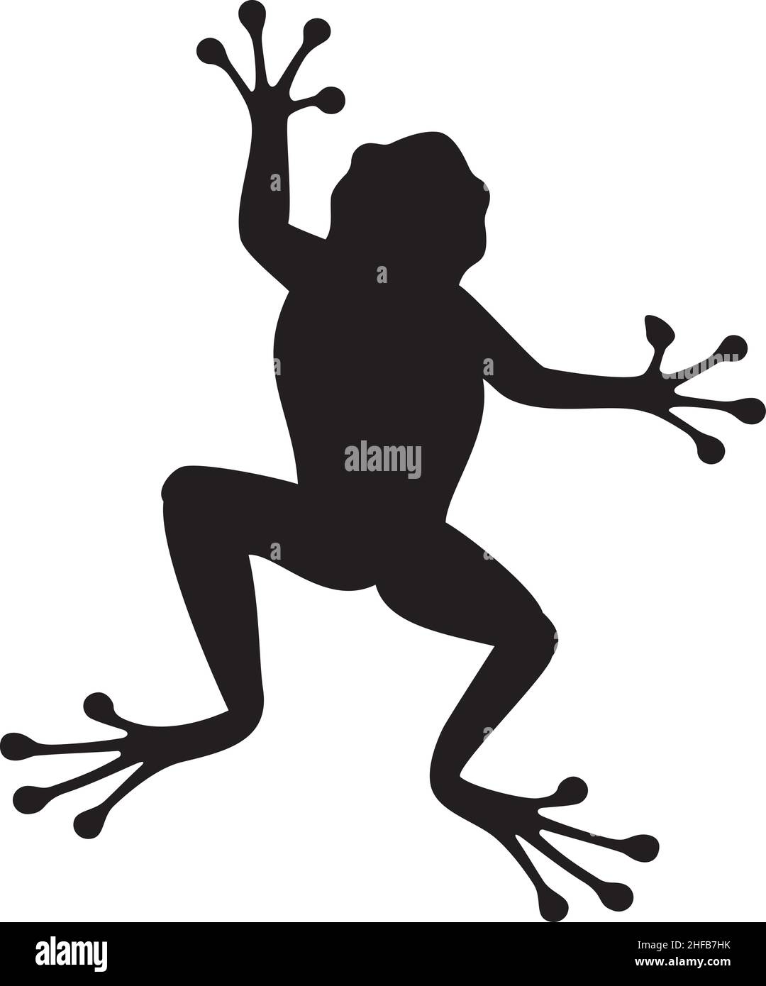 Frog animal vector illustration Stock Vector Image & Art - Alamy