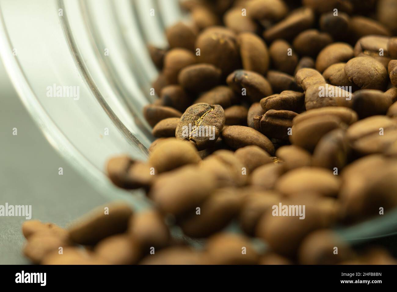 Focused one coffee bean hi-res stock photography and images - Alamy