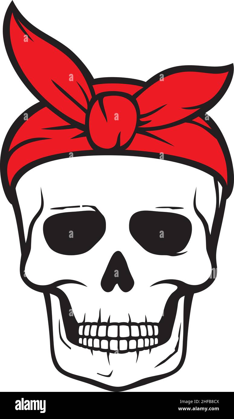 Skull with bandana vector illustration Stock Vector Image & Art - Alamy