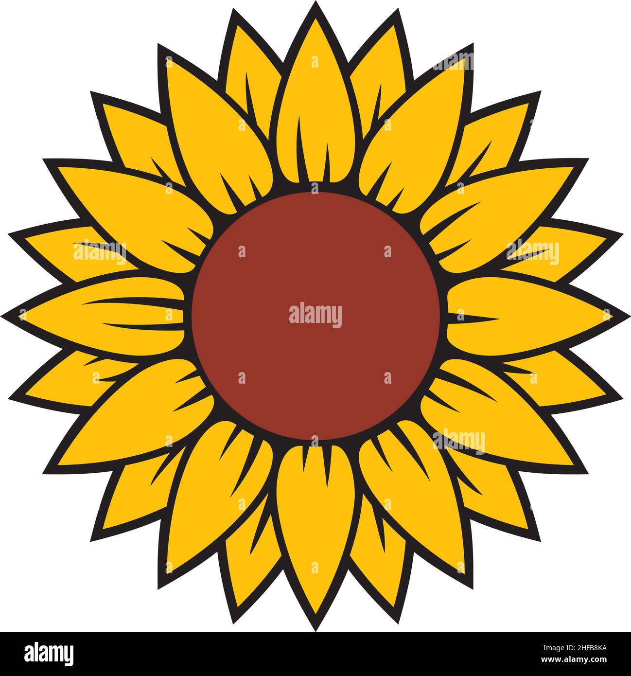 Sunflower vector illustration in color Stock Vector Image & Art - Alamy