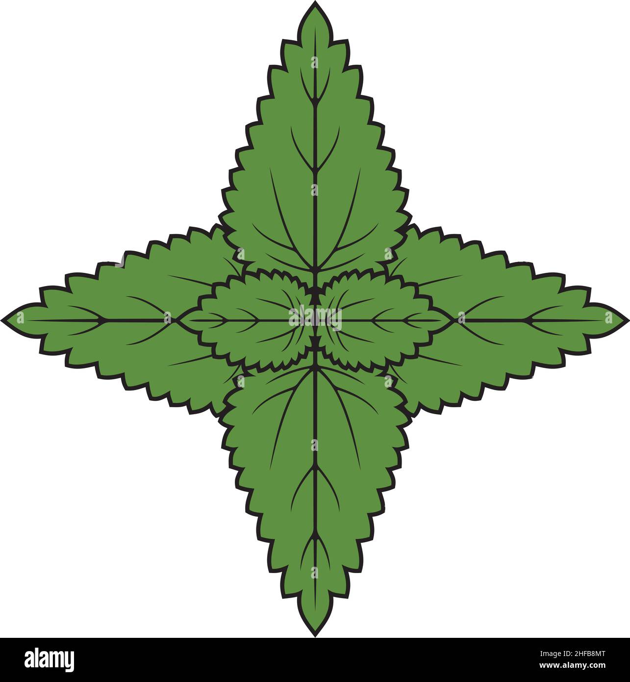 Nettle plant color vector illustration Stock Vector Image & Art - Alamy