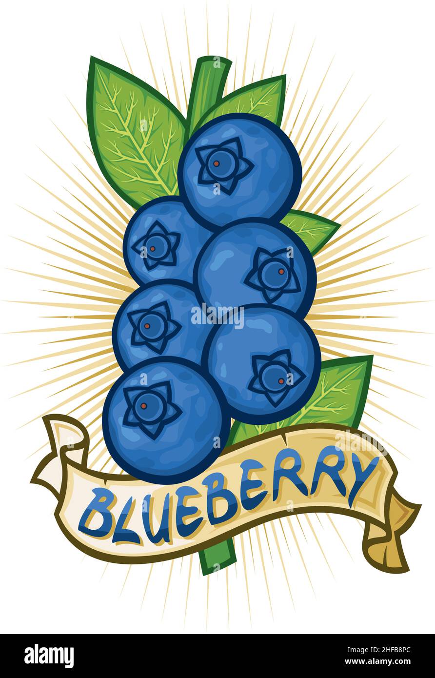Blueberries fruit label Stock Vector Image & Art - Alamy