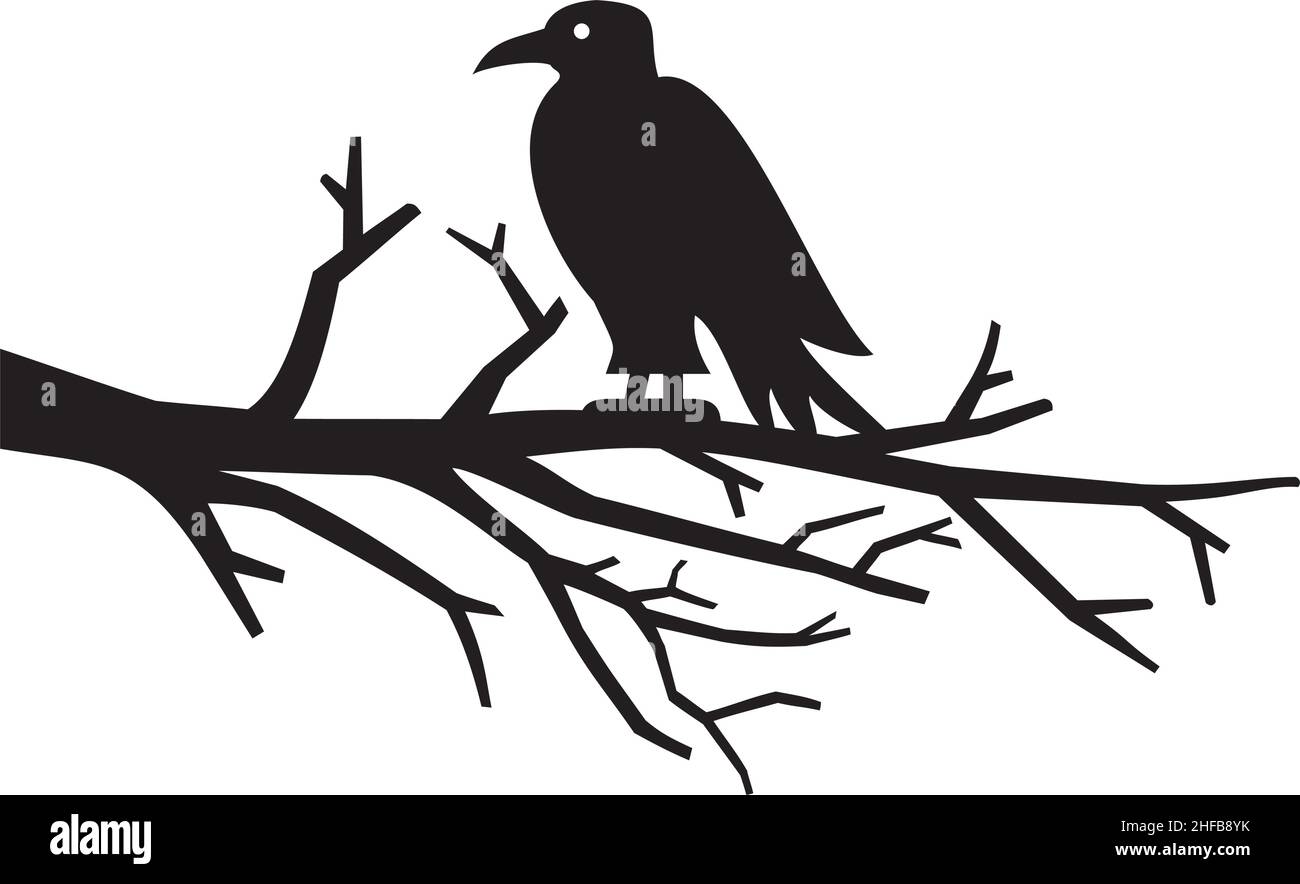 Raven on branch vector illustration Stock Vector Image & Art - Alamy