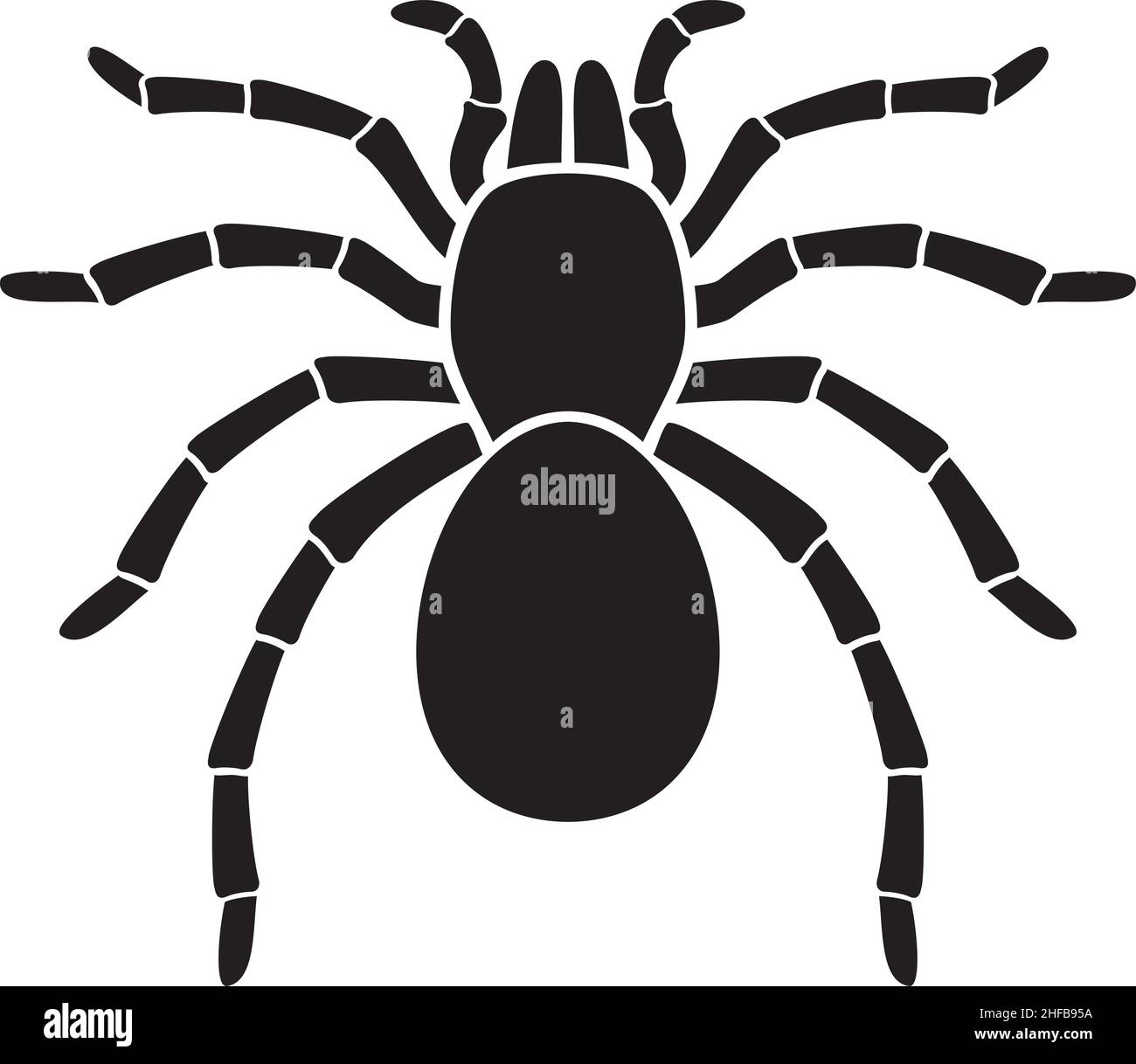 Tarantula spider vector illustration Stock Vector Image & Art - Alamy