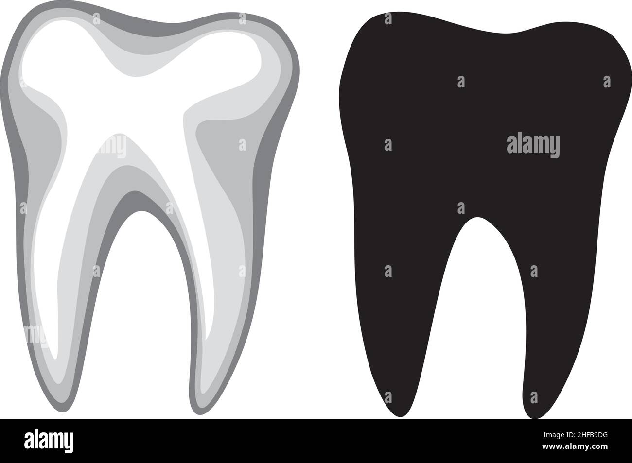 Tooth vector illustration Stock Vector Image & Art - Alamy