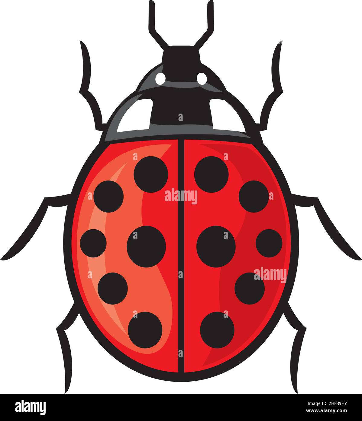 Ladybug insect vector illustration Stock Vector Image & Art - Alamy