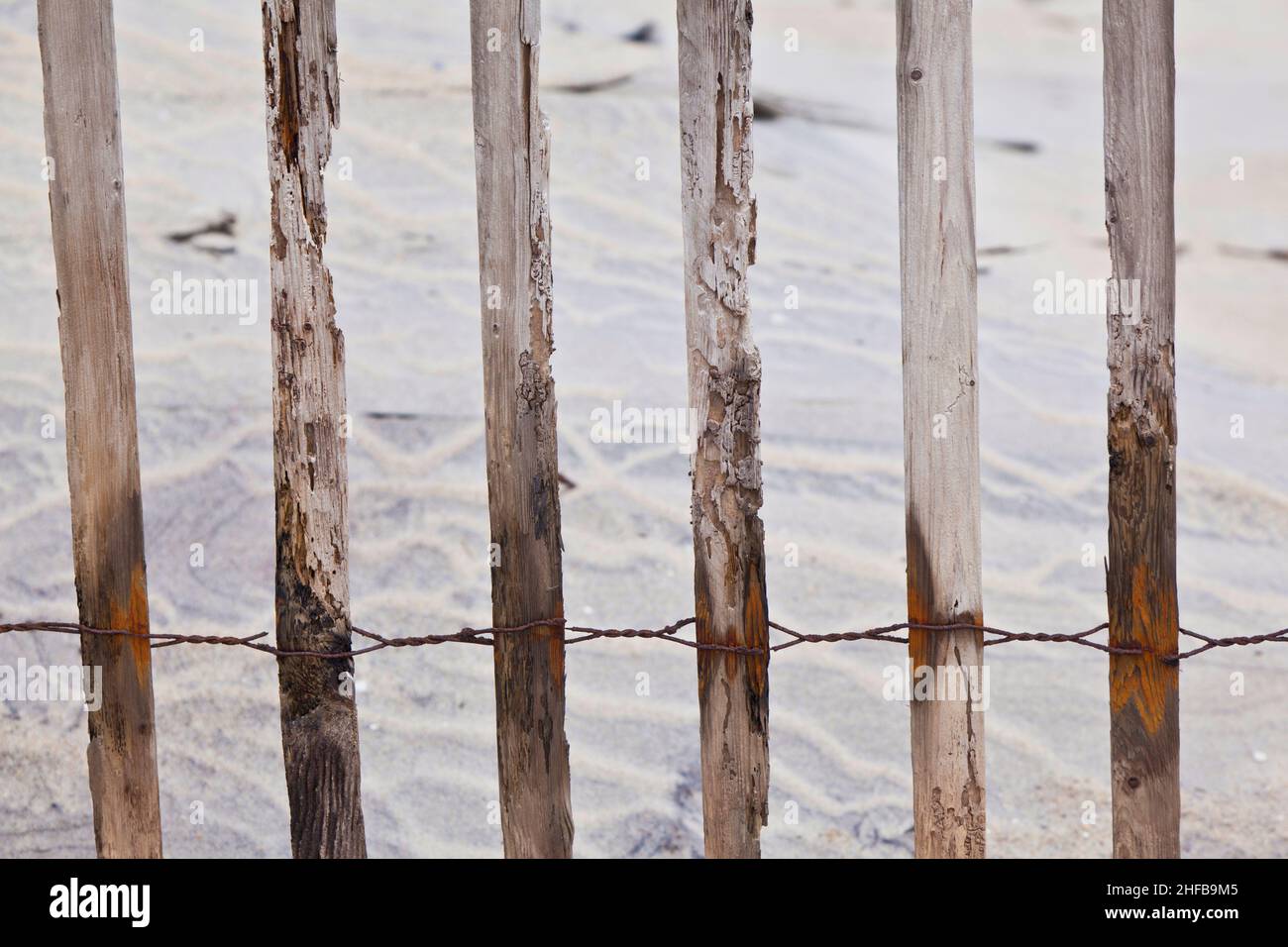 fence for protection of the dunes at the beautiful natural beach ...