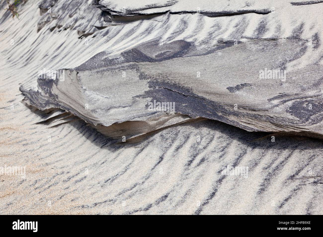 wind forms beautiful structures in the dunes at the beach Stock Photo ...
