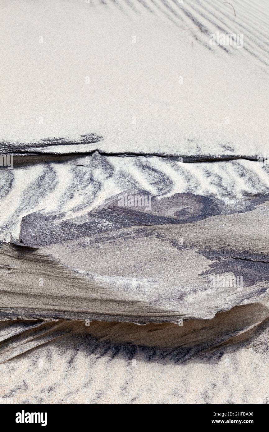wind forms beautiful structures in the dunes at the beach Stock Photo ...