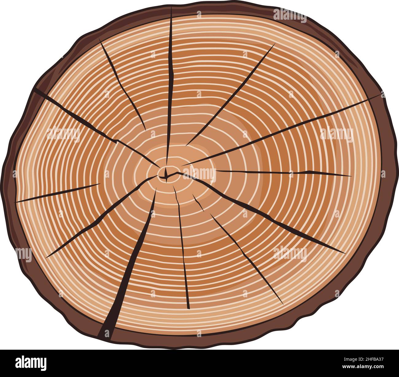 Plank cross section Stock Vector Images - Alamy