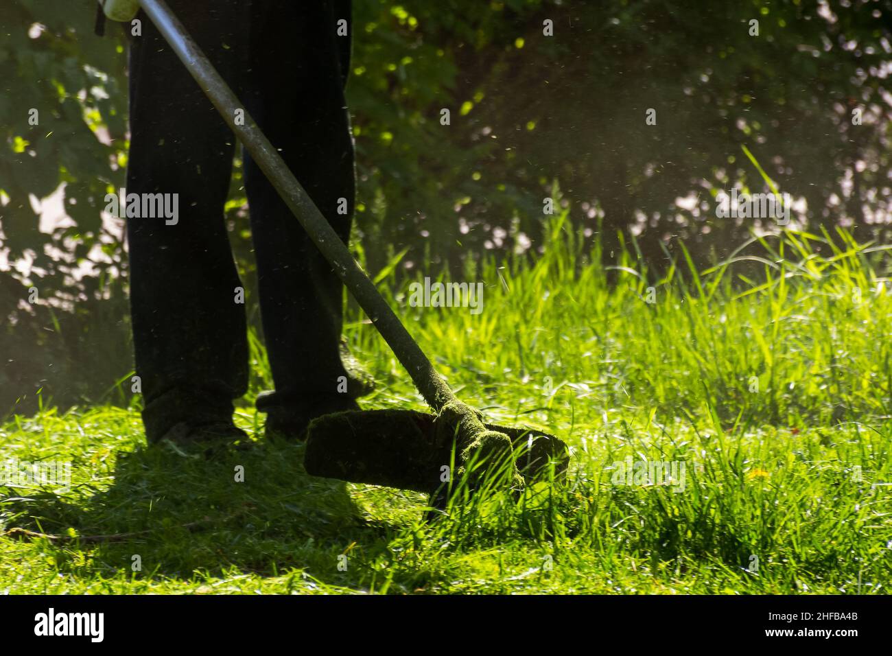 grass cutting on the lawn. work with garden equipment. backyard ...