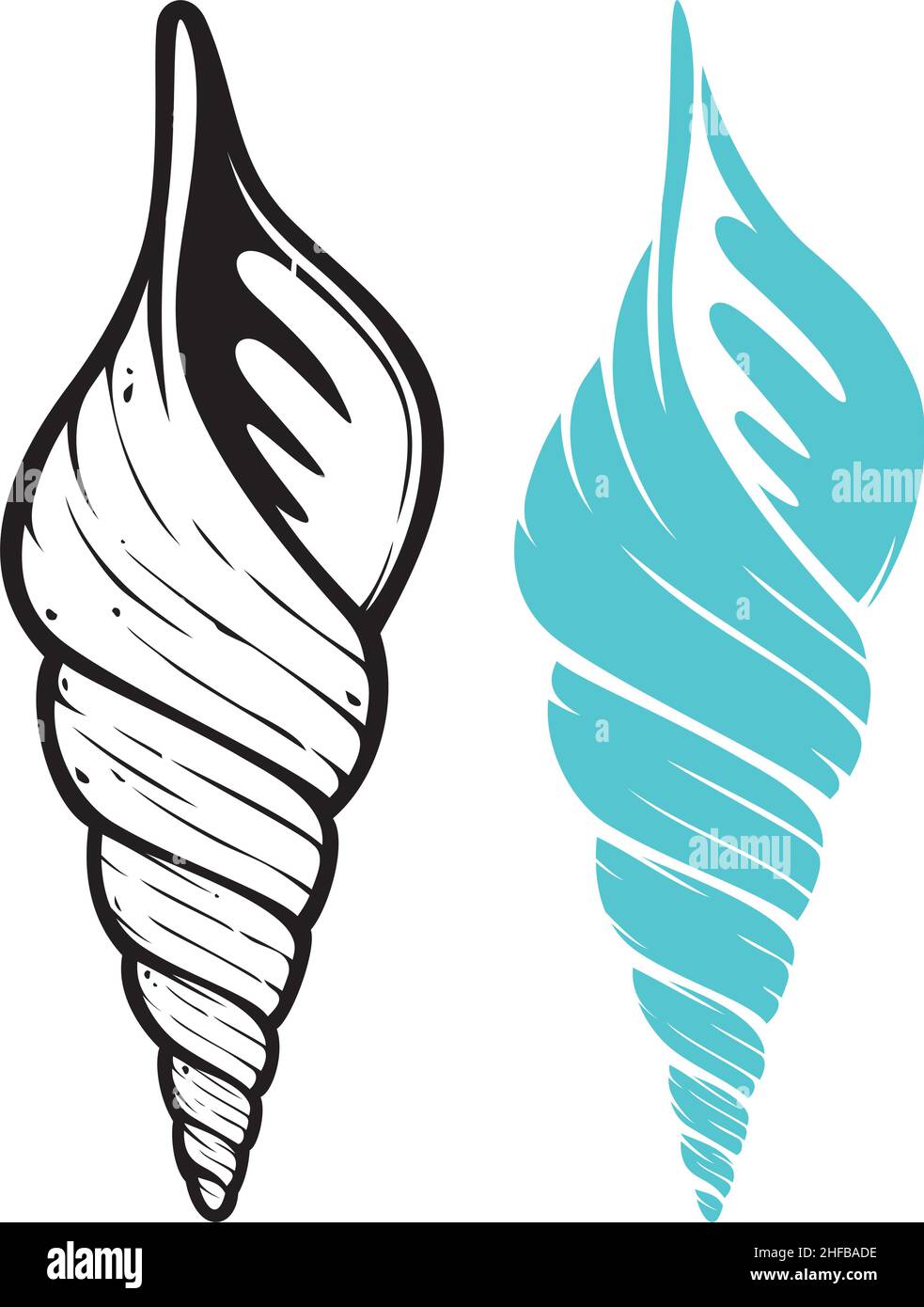 Seashell vector illustration Stock Vector Image & Art - Alamy