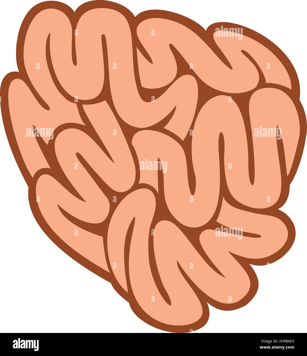 Small intestine vector illustration Stock Vector Image & Art - Alamy