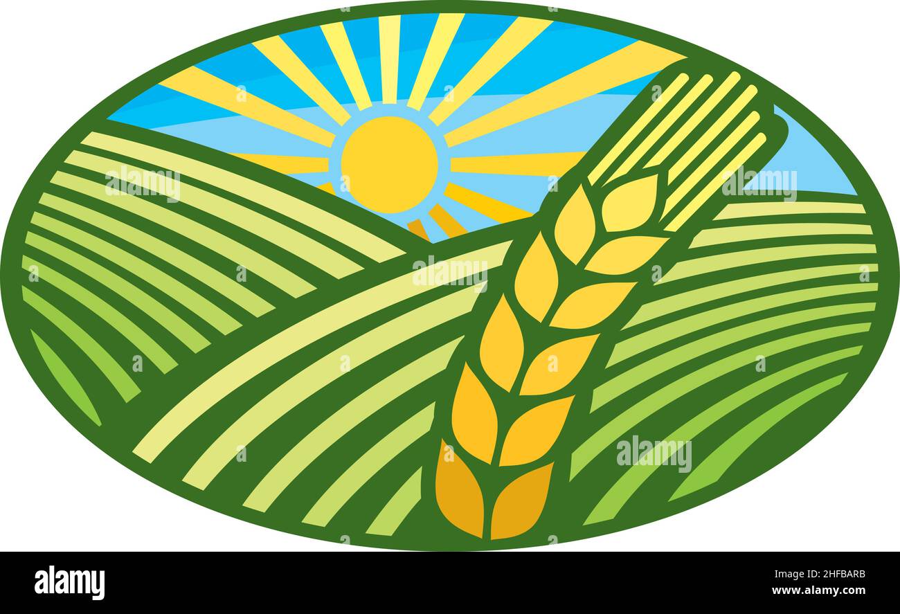 Wheat sign - badge (design). Vector illustration Stock Vector Image ...