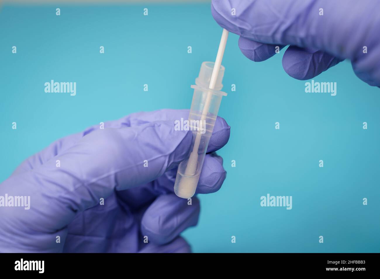 Doctor or nurse insertig a swab into an extraction tube, in the process ...