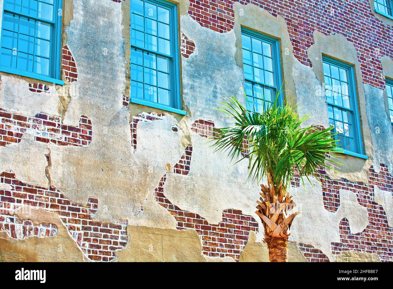 facade of old historic brick house with palm tree Stock Photo - Alamy